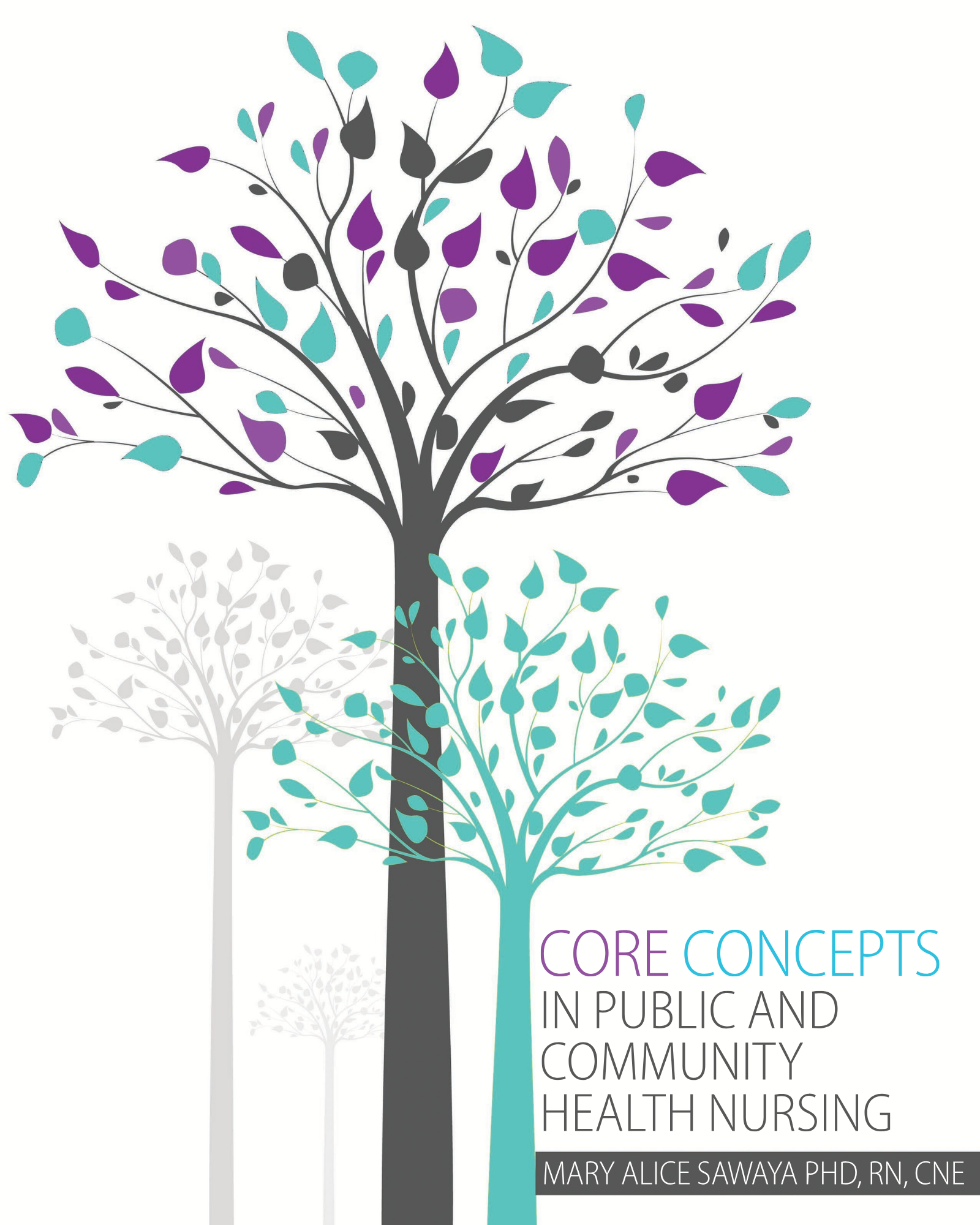 Core Concepts in Public and Community Health Nursing | Higher Education